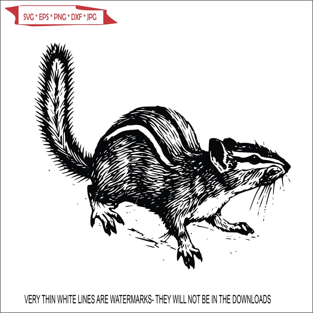 Chipmunk Squirrel Strip Rodent Animal Critter Pudgy Cheek Pouch Like ...