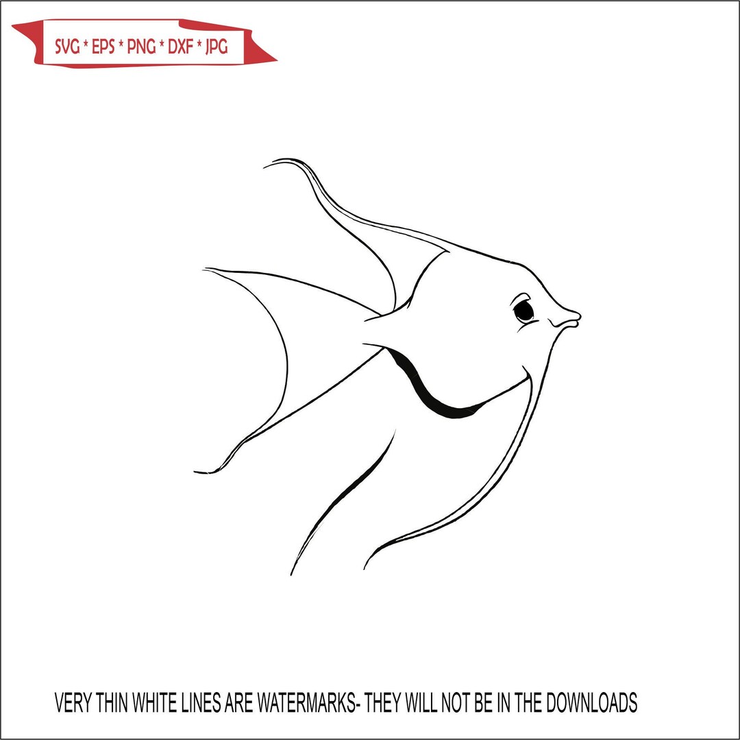 Angel Fish Outline Angelfish Freshwater Majestic Fins Tropical Aquarium ...