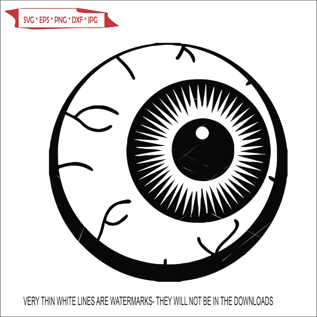 Eye Eyeball Human Pupil Iris Retina Face Receptors Vision Anatomy ...