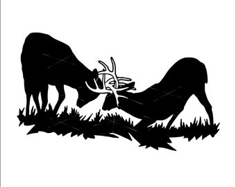 Whitetail Bucks Fighting Drawings