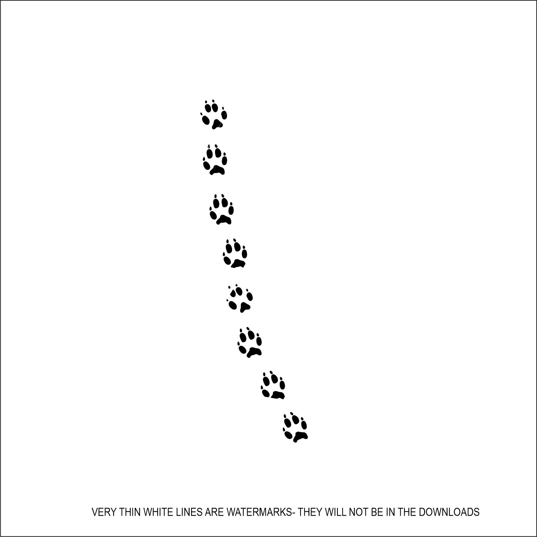 Fox Track Walking Stride Foot Print Animal Paw Footprint Toe Print Zoo ...