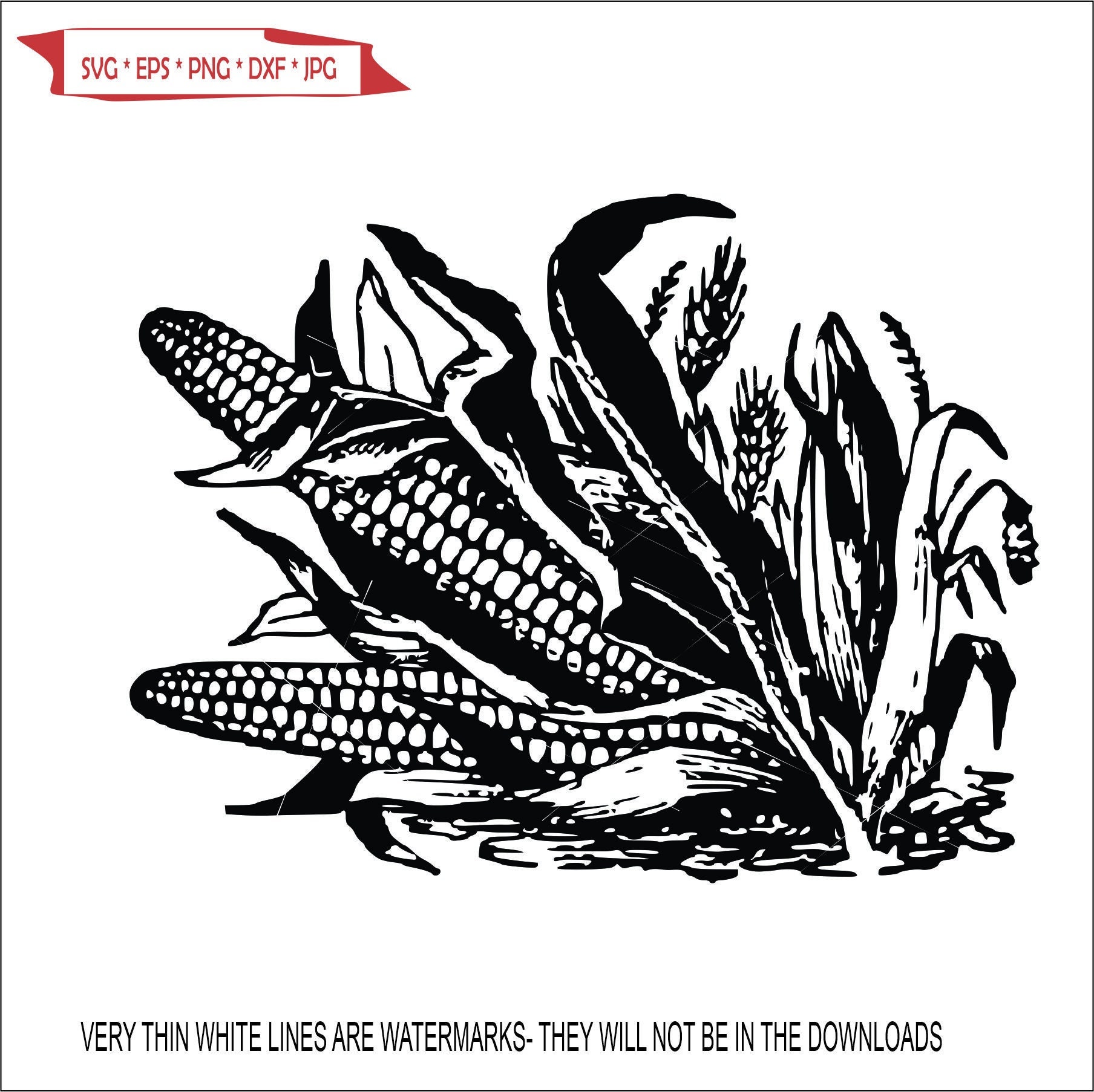 2 Corn Stalk Farmers Field Filed Agriculture Vegetable Farm - Etsy