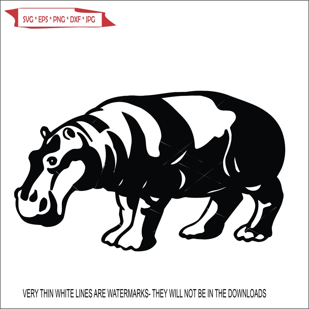 Hippopotamus Hippo Mammals Zoo Wild Animal Safari Wildlife Africa * Cut ...