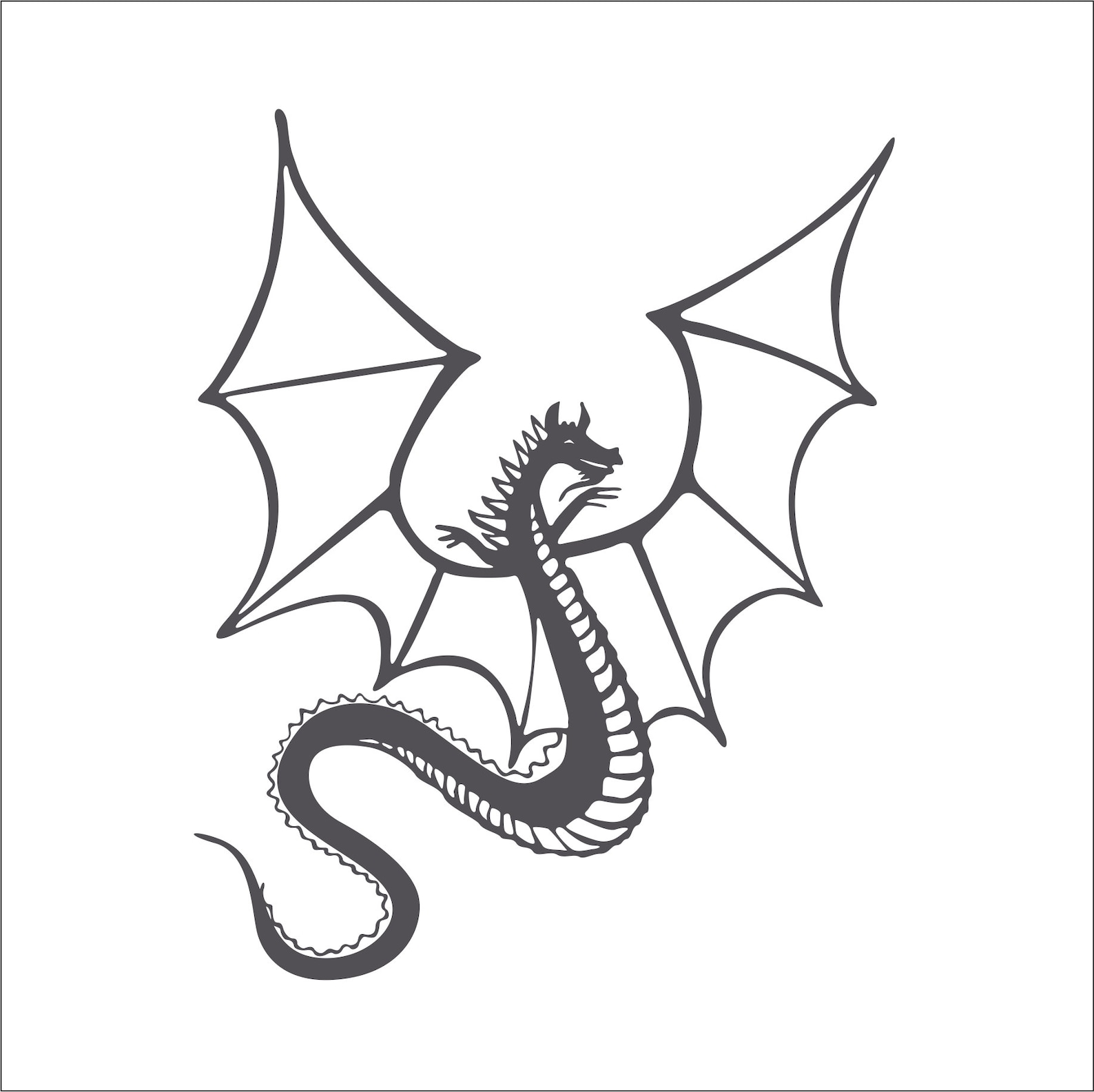 Gliding Lizards Flying Dragon Wings Animal Reptile Exotic - Etsy