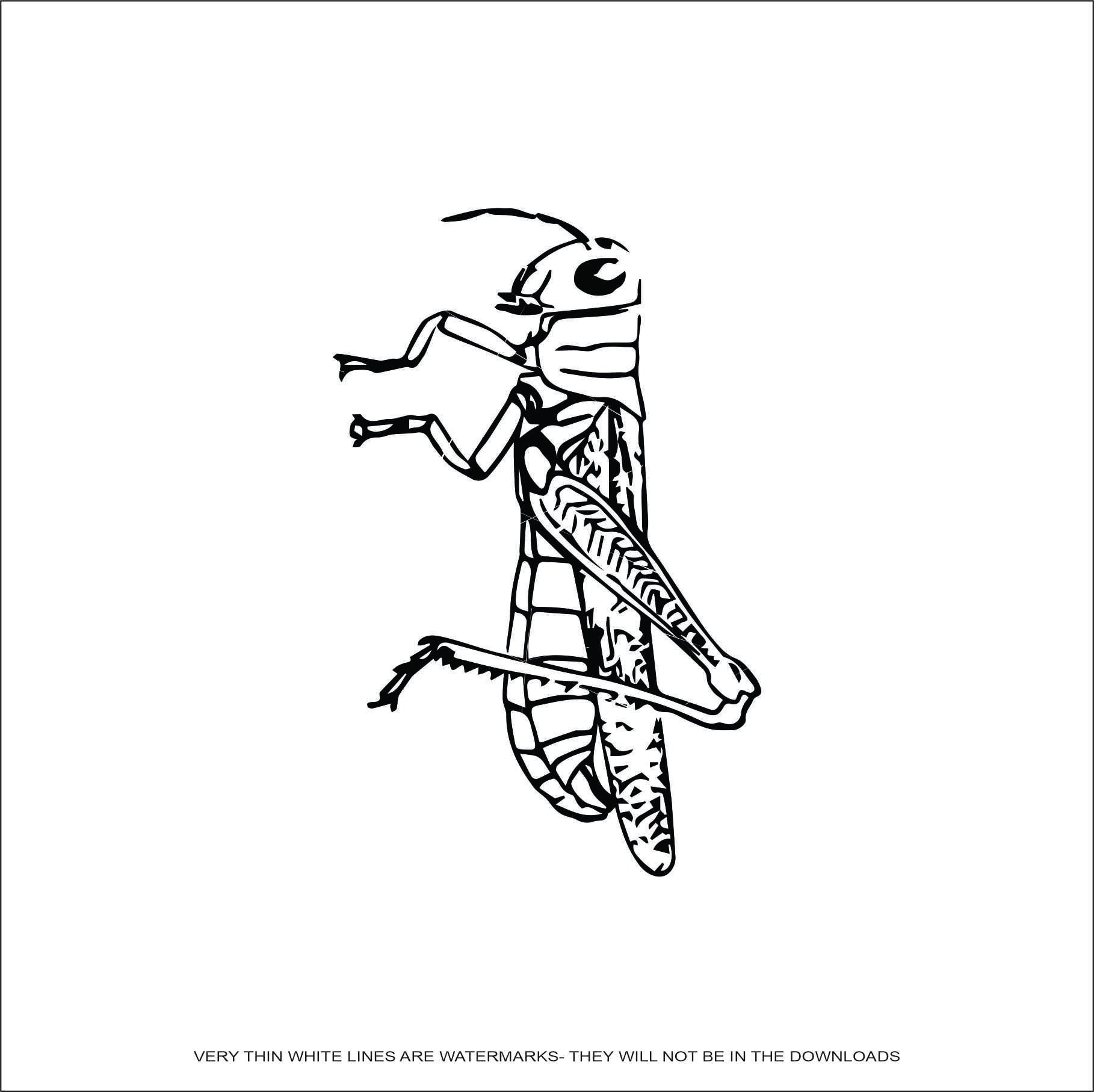 Grasshopper Jumping Drawing