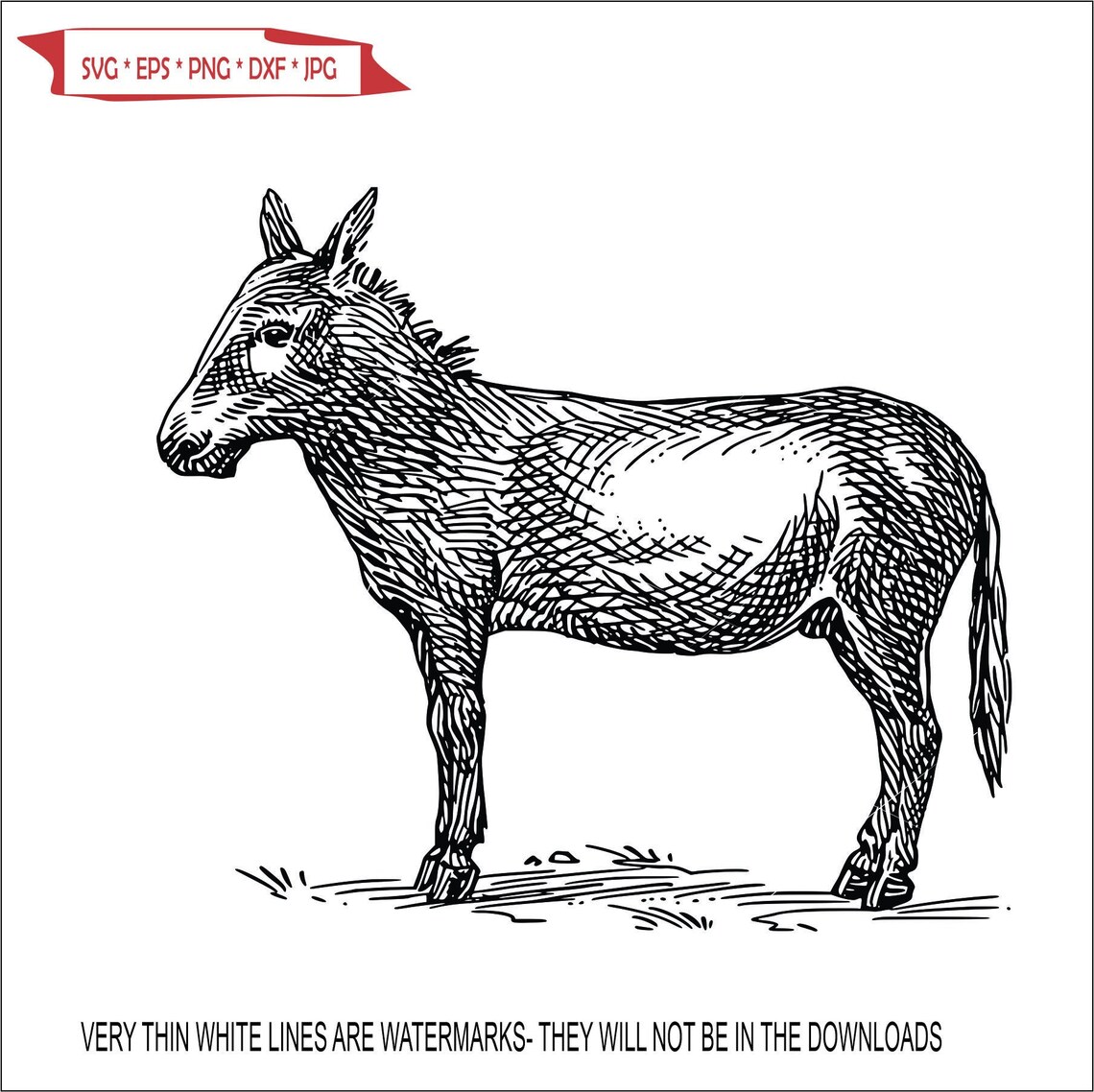 Mule Standing Mule Filly Donkey Burro Jackass Jenny Jack Male - Etsy