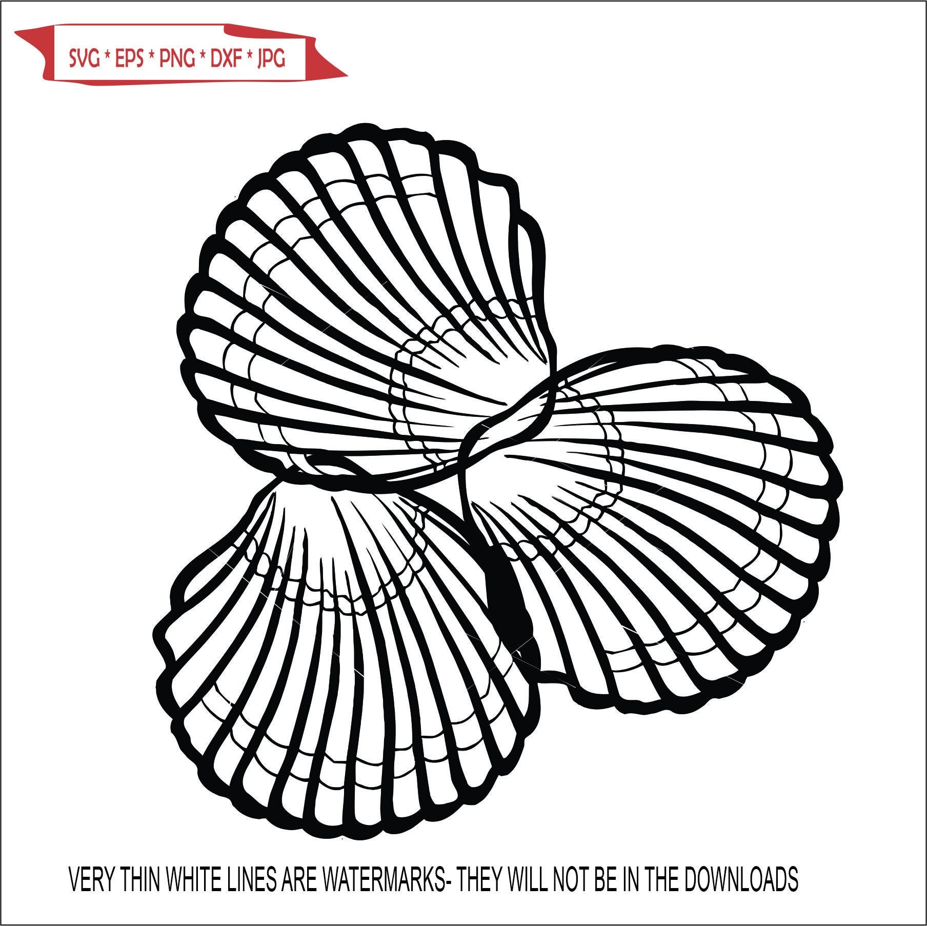 3 Seashells Summer Memories Beach Surf Sand Sea Shell Shore Ocean ...