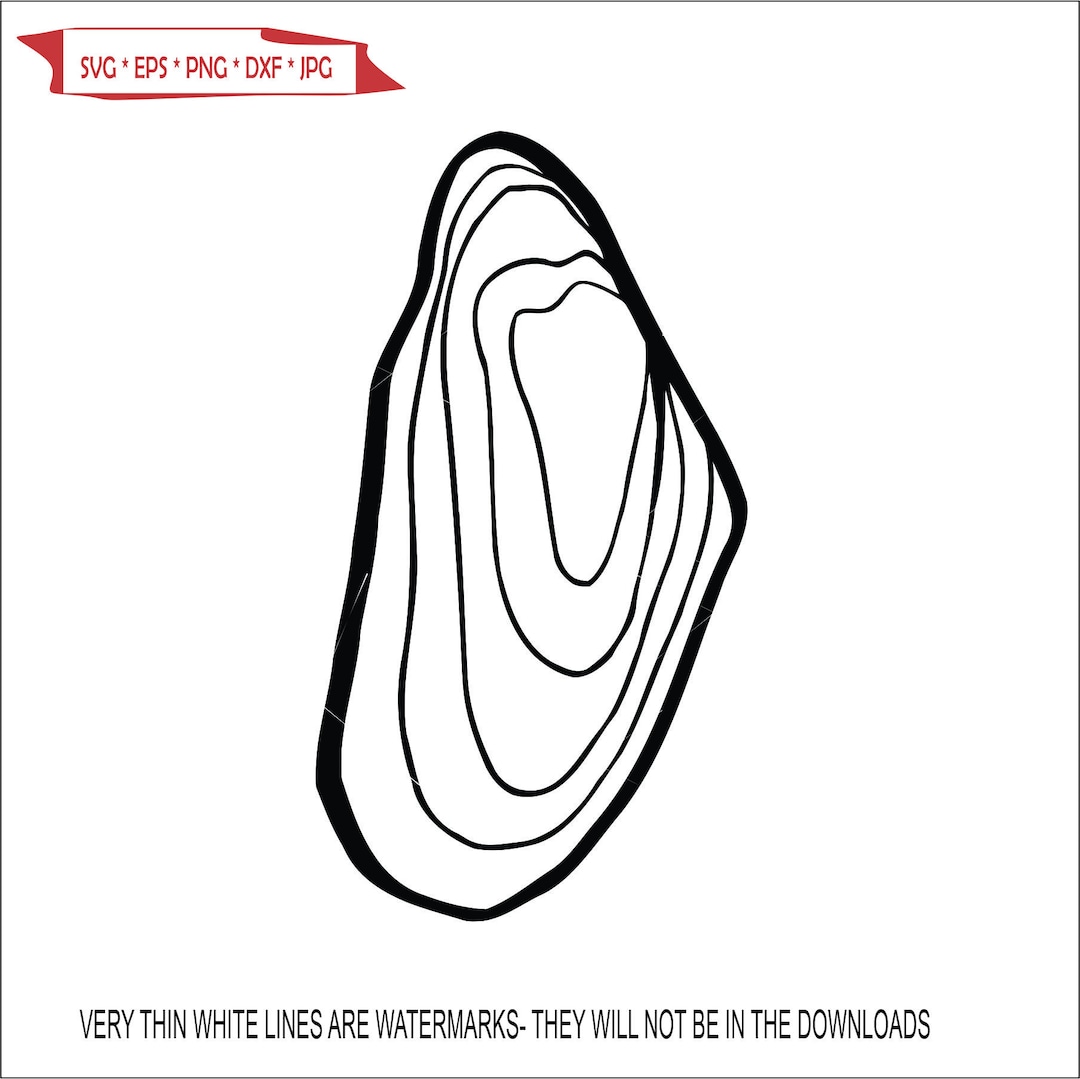 Clam Oyster Seashell Summer Beach Memories Surf Sand Sea Shell Shore ...