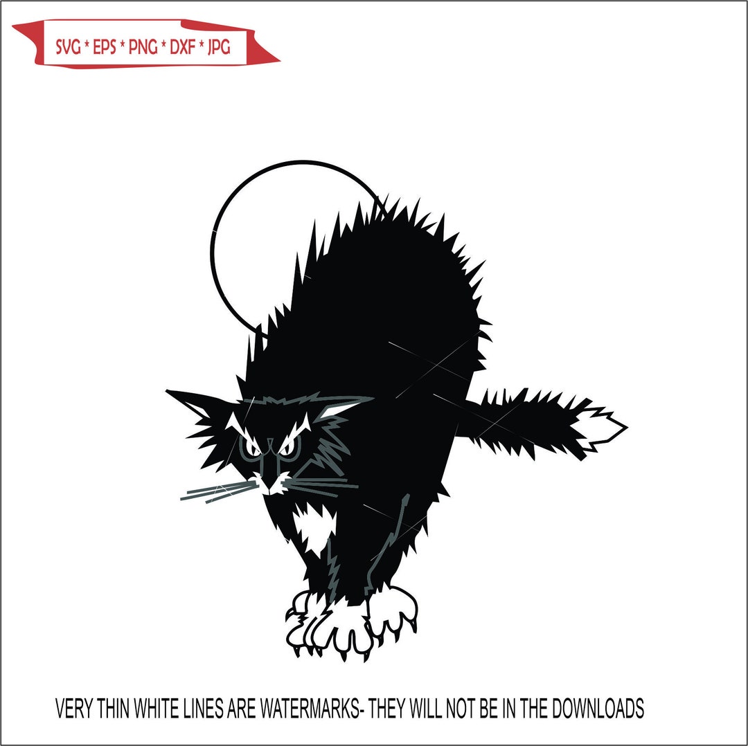 Moon Spooky Cat Kitty Scared Mean Sad Mischief Full Body Feline Animal ...