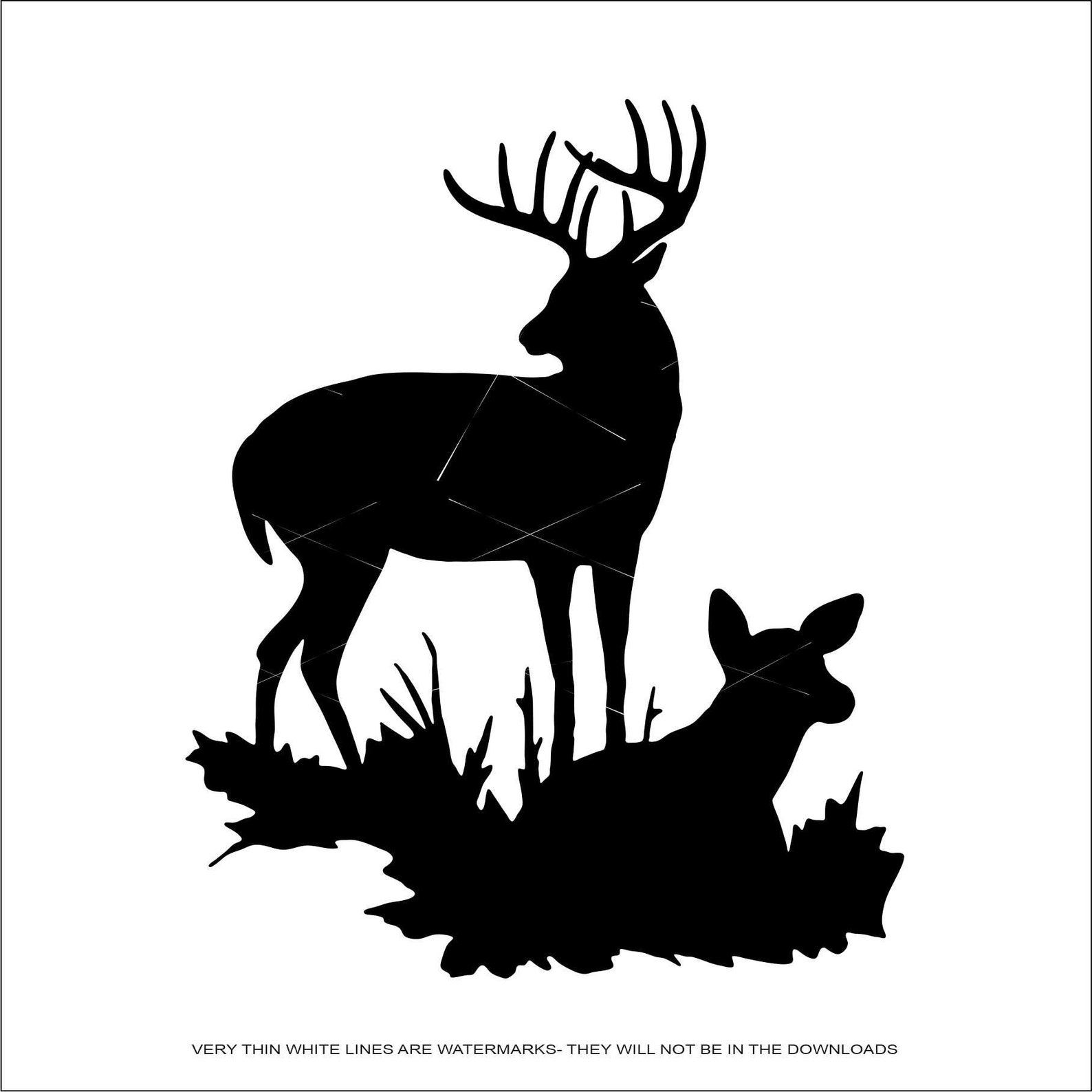 Deer Buck Rack Doe Grass Hunting Hunt Game Wildlife Wilderness Nature ...