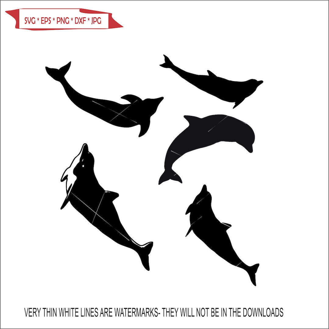 5 Simple Dolphins Jumping Swimming Splashing Mammals Fish Porpoise Sea ...