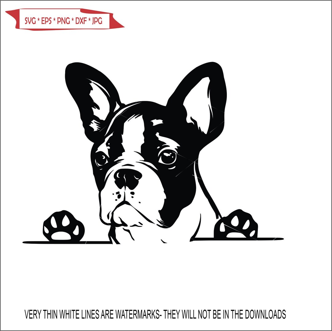 Frenchie Bull Peaking Paw Print Face Looking Head Bull Dog Pet Pedigree ...