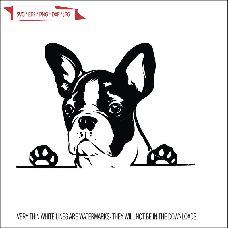 Frenchie Bull Peaking Paw Print Face Looking Head Bull Dog Pet Pedigree ...