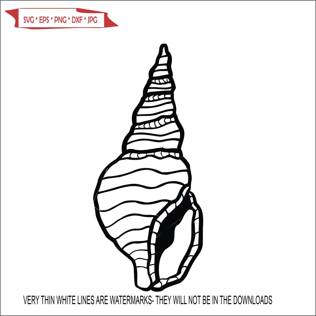 Sconch Shell Listen Beach Summer Memories Surf Sand Seashell Shore ...