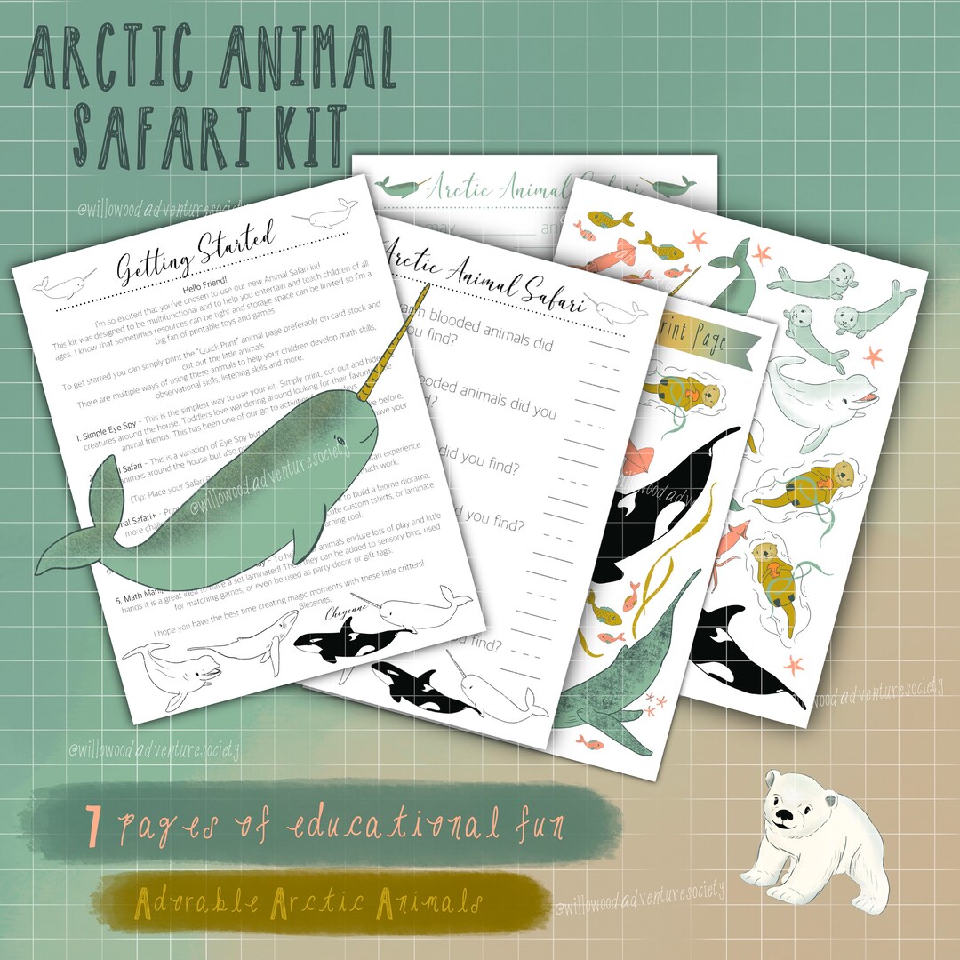 Arctic Ocean Animal Safari Math Alphabet Worksheets and Activities for ...