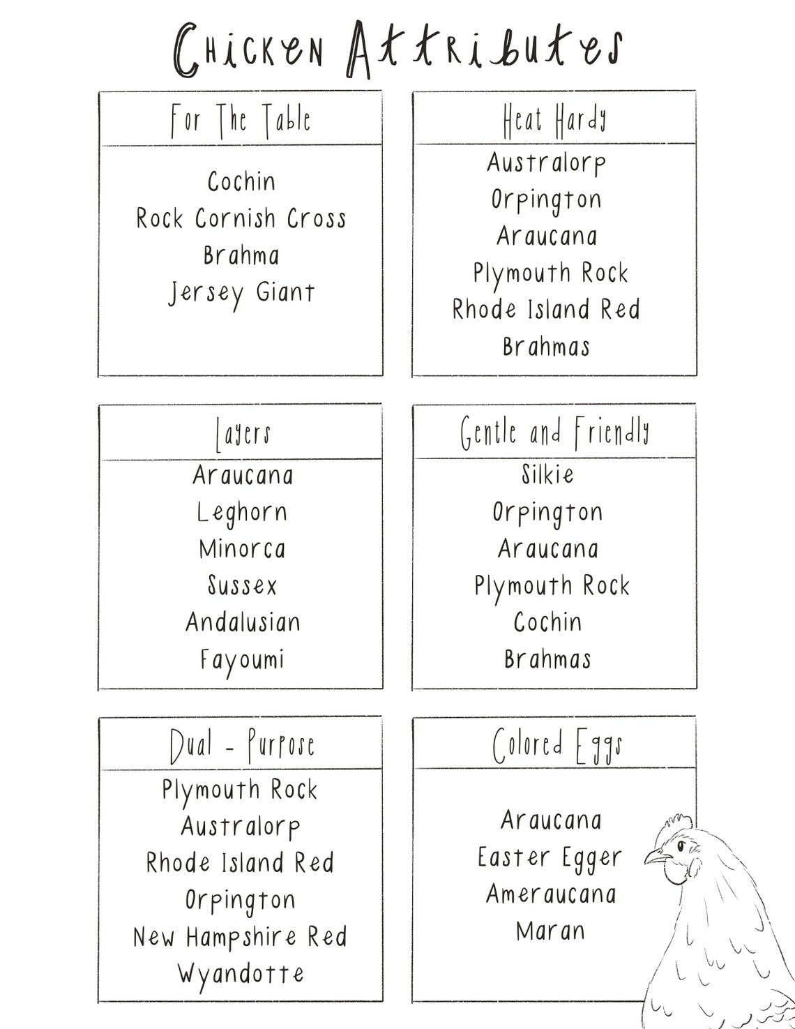 Chicken Anatomy Worksheets for Kids Chicken Breed Color Pages Farm ...