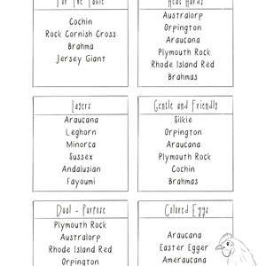 Chicken Anatomy Worksheets for Kids Chicken Breed Color Pages Farm ...