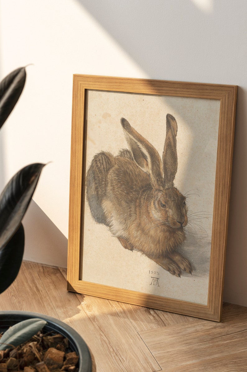 Albrecht Durer Young Hare 1502 Drawing Painting Digital | Etsy
