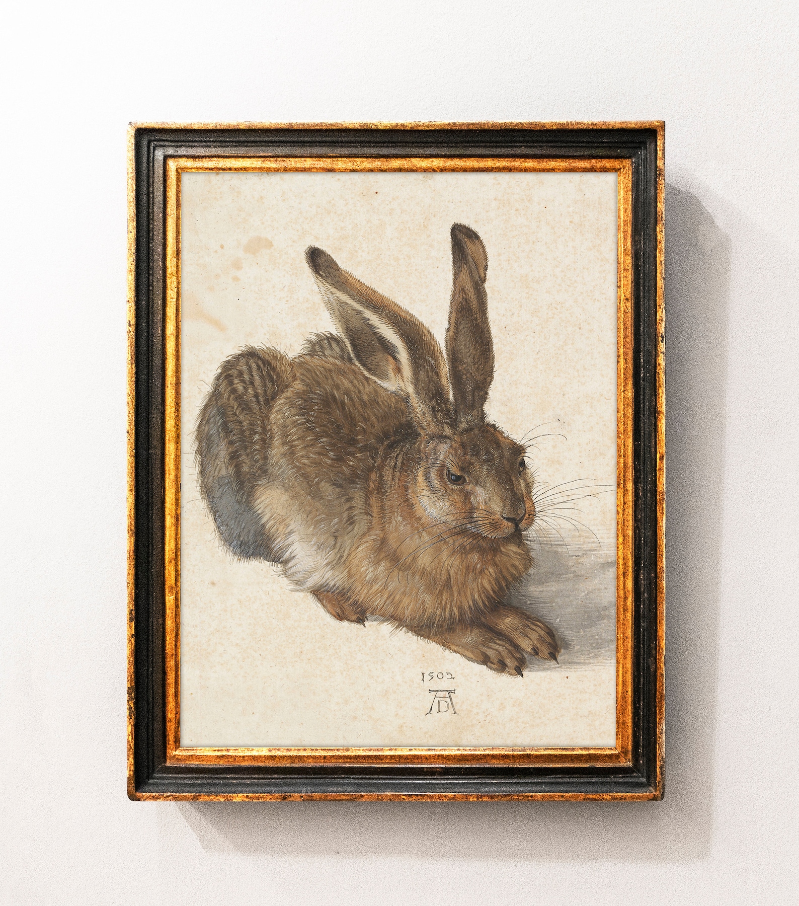 Albrecht Durer Young Hare 1502 Drawing Painting Digital - Etsy UK