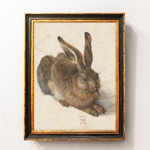 Albrecht Durer - Young Hare (1502) - Drawing Painting Digital Poster ...