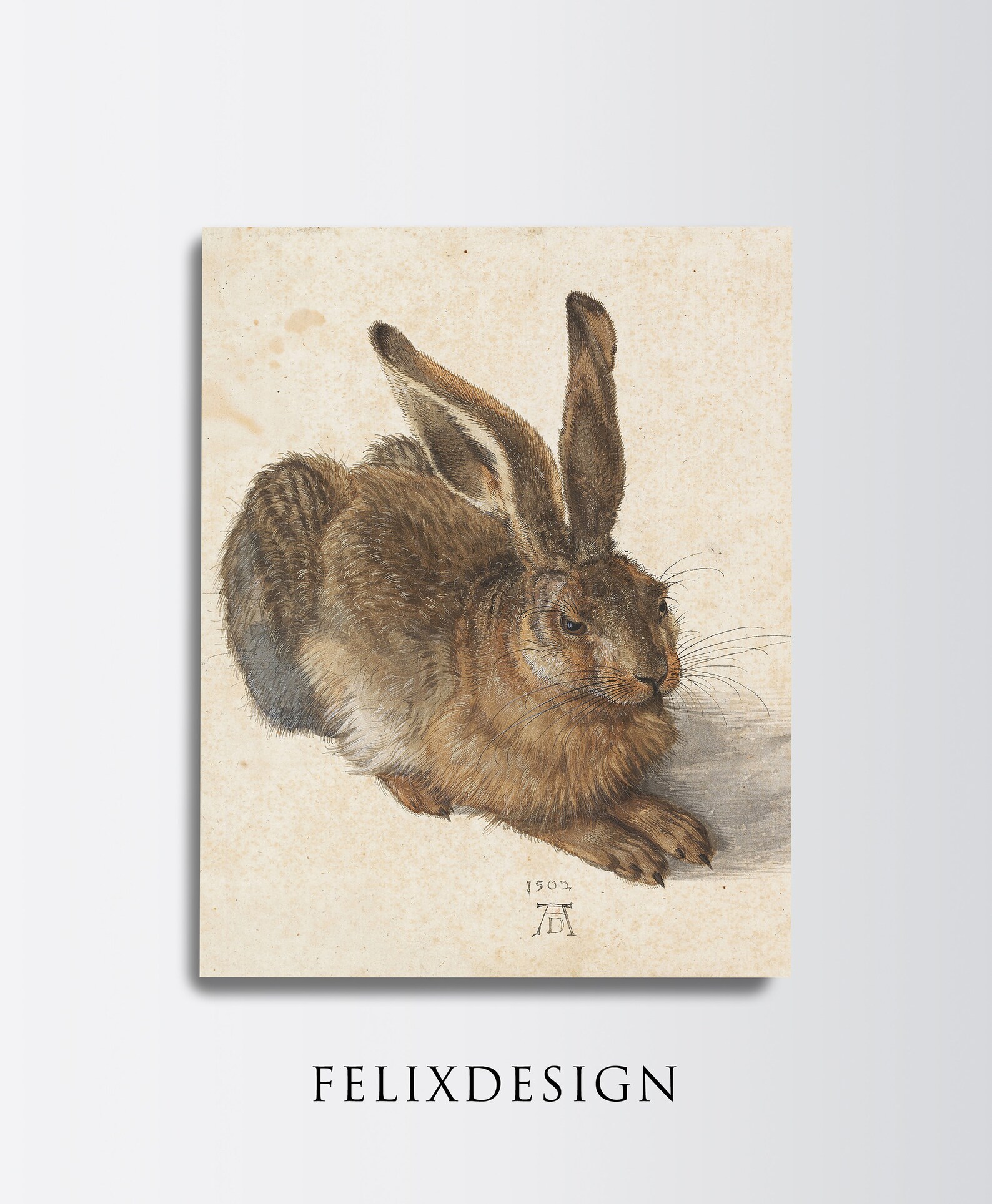 Albrecht Durer Young Hare 1502 Drawing Painting Digital | Etsy