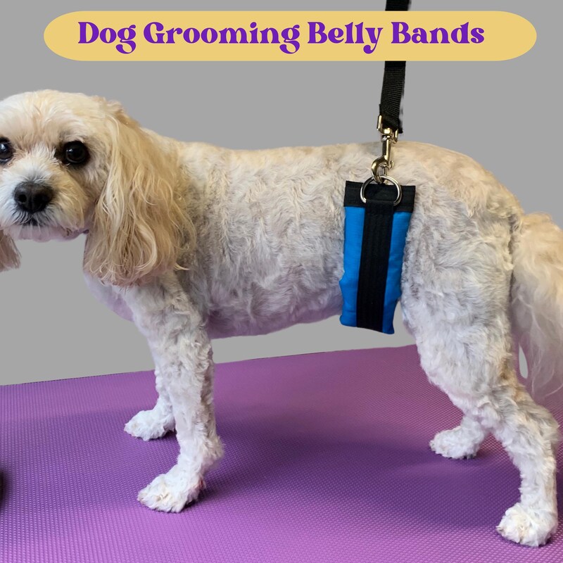 Belly Band for Dogs - Etsy