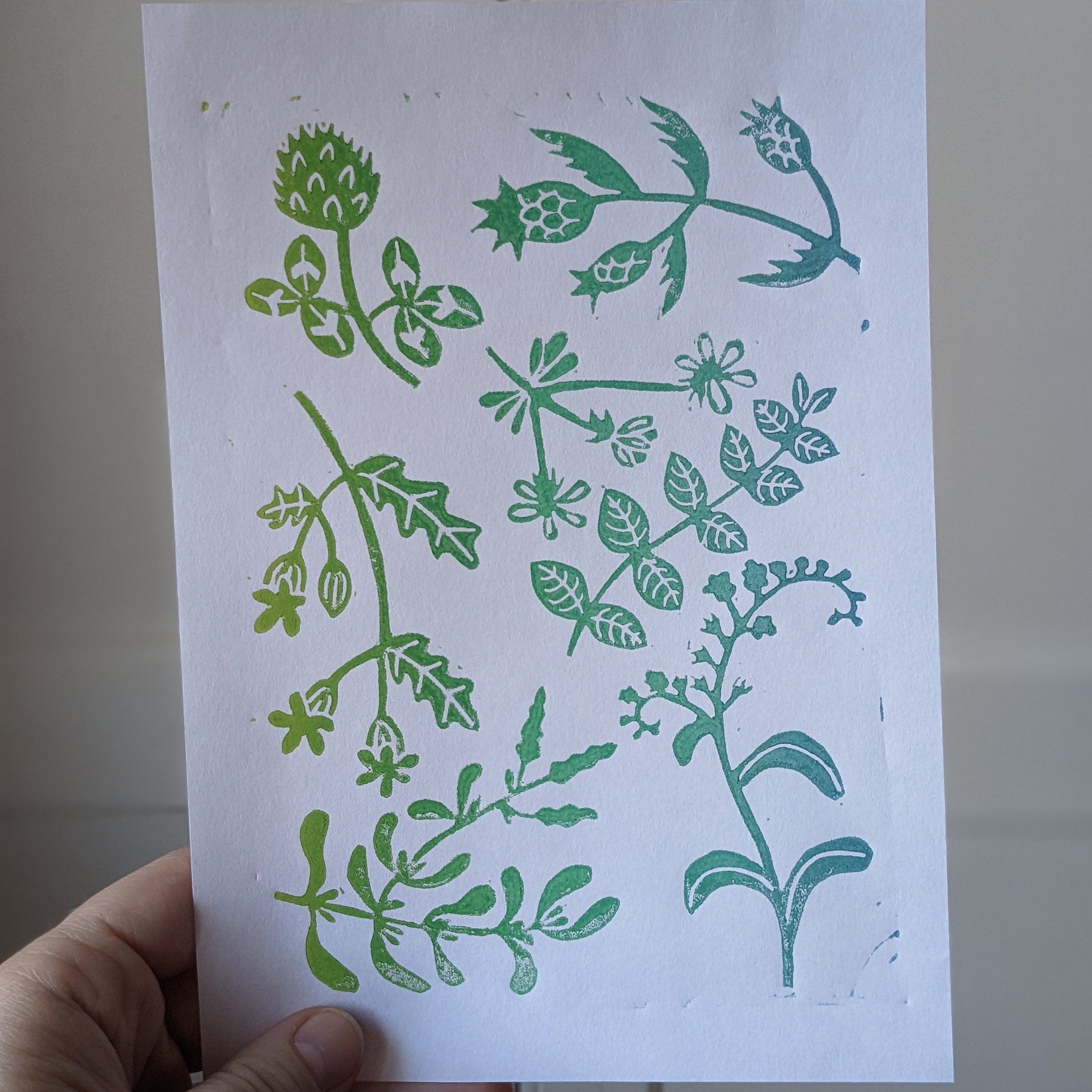 Art & Collectibles Wood & Linocut Prints black or colored My herbarium ...