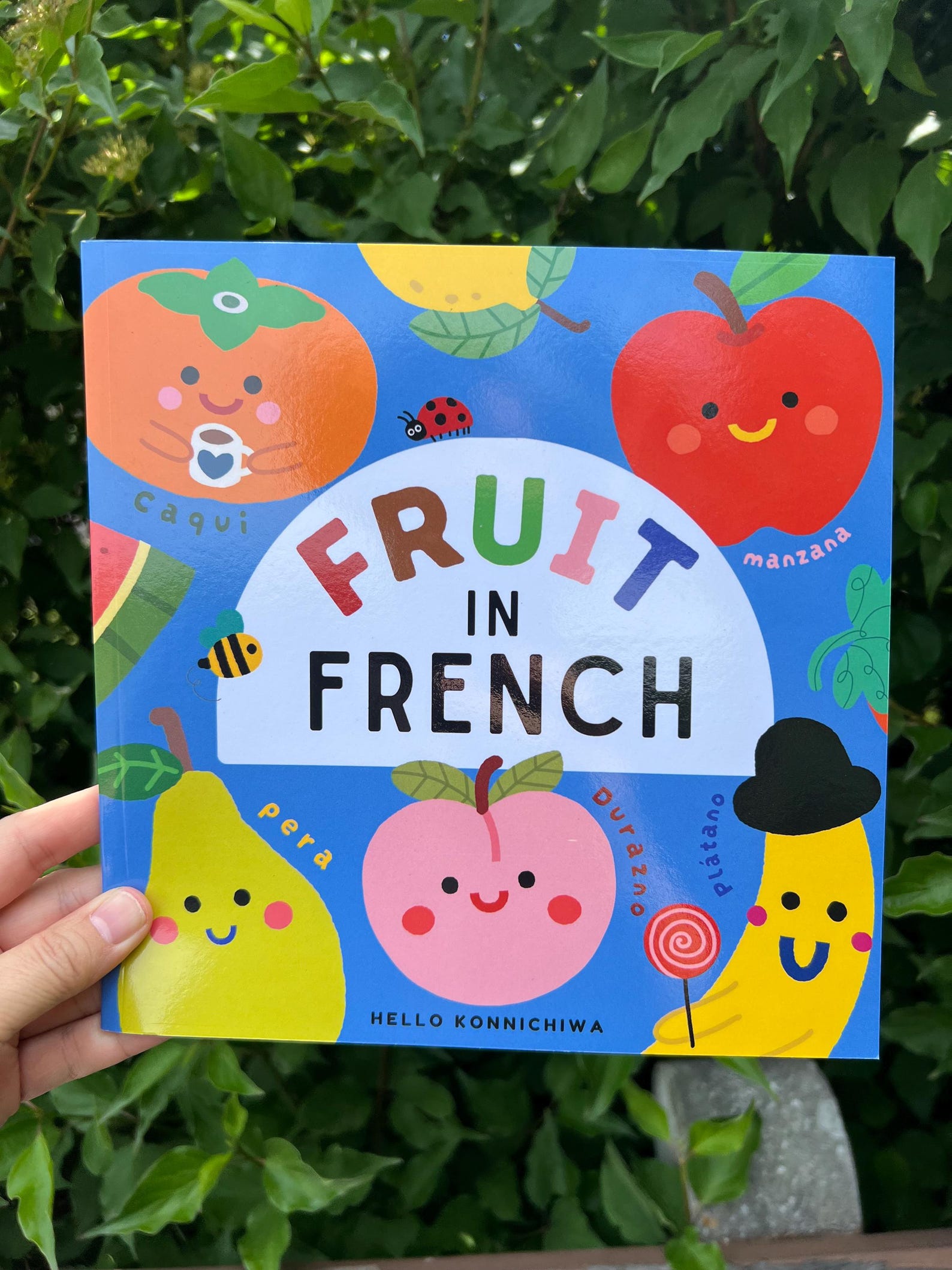 French Kids Picture Book Fruit Bilingual Learning Childrens Book Baby ...