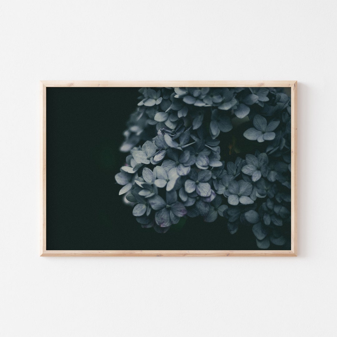 Hydrangea Flower Print: Earthy Farmhouse Wall Art - Etsy