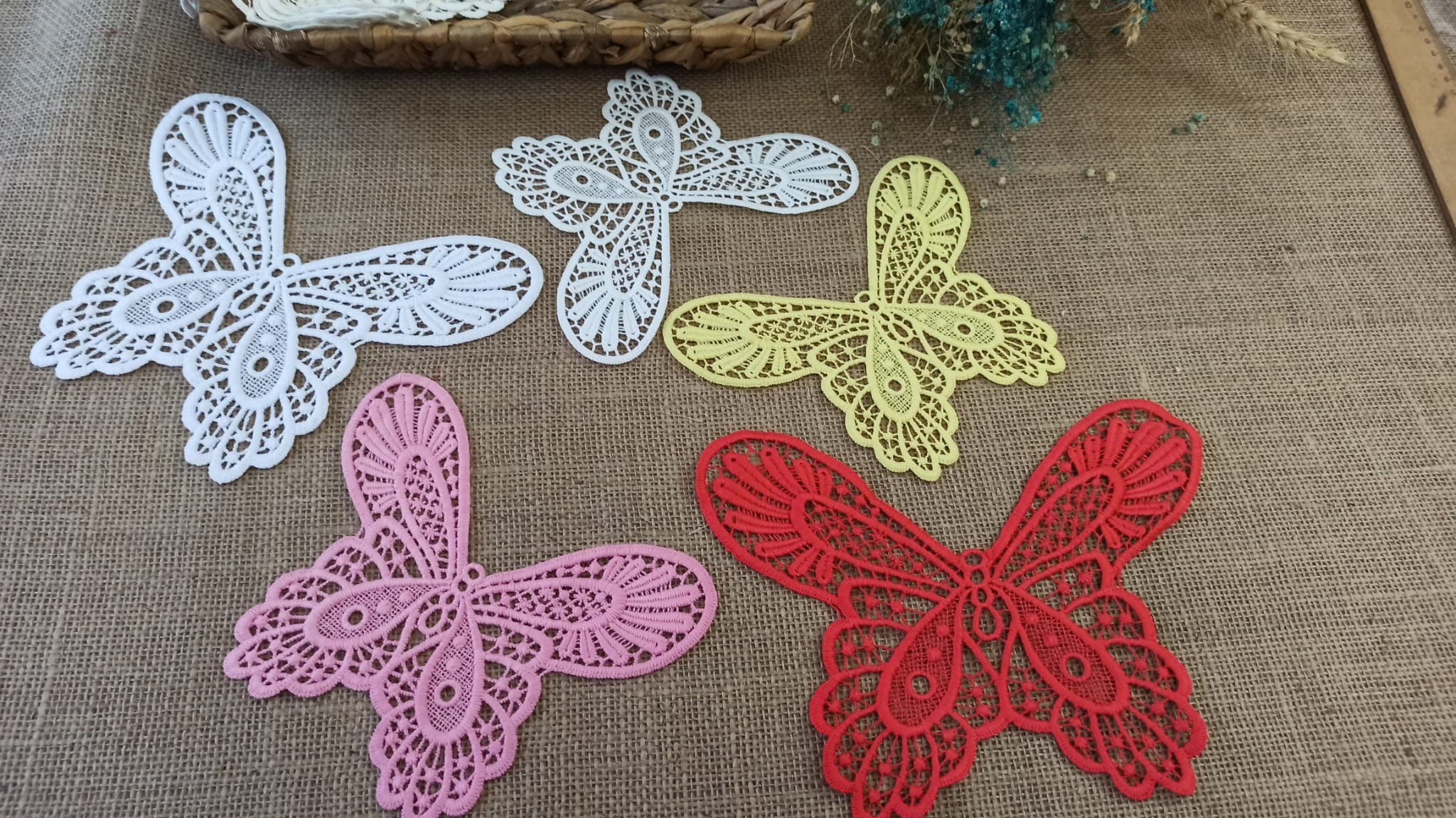 5 Colors Lace Butterflies - Etsy