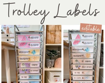 TROPICAL Teacher Toolbox Editable Tropical Classroom Decor | Etsy