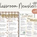 Editable Classroom Newsletter Template | Daisy Gingham Neutrals ...