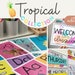 TROPICAL Classroom Labels and Student Name Plates Editable Tropical ...