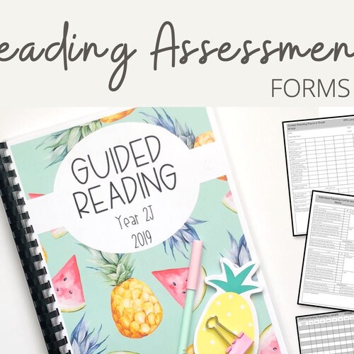 Guided Reading Folder Reading Assessment Forms and - Etsy