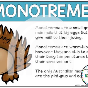 Australian Animals Unit - Australian Curriculum | Distance Learning - Etsy