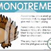 Australian Animals Unit - Australian Curriculum | Distance Learning - Etsy