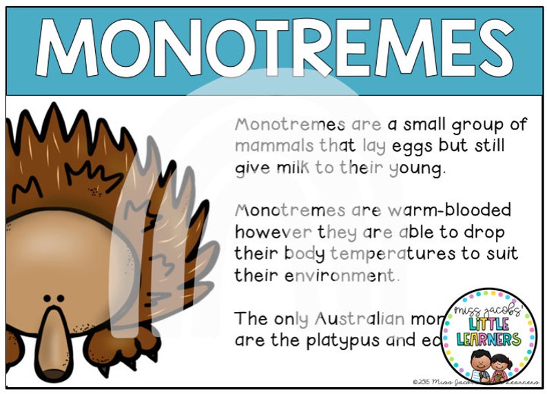 Australian Animals Unit Australian Curriculum Distance - Etsy