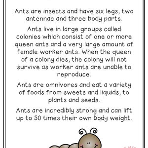 Bugs and Insects Spring Unit - Perfect for Distance Learning - Etsy