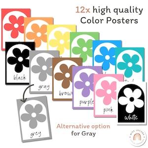 Color Posters | Daisy Gingham Pastels Classroom Decor | Editable - Etsy