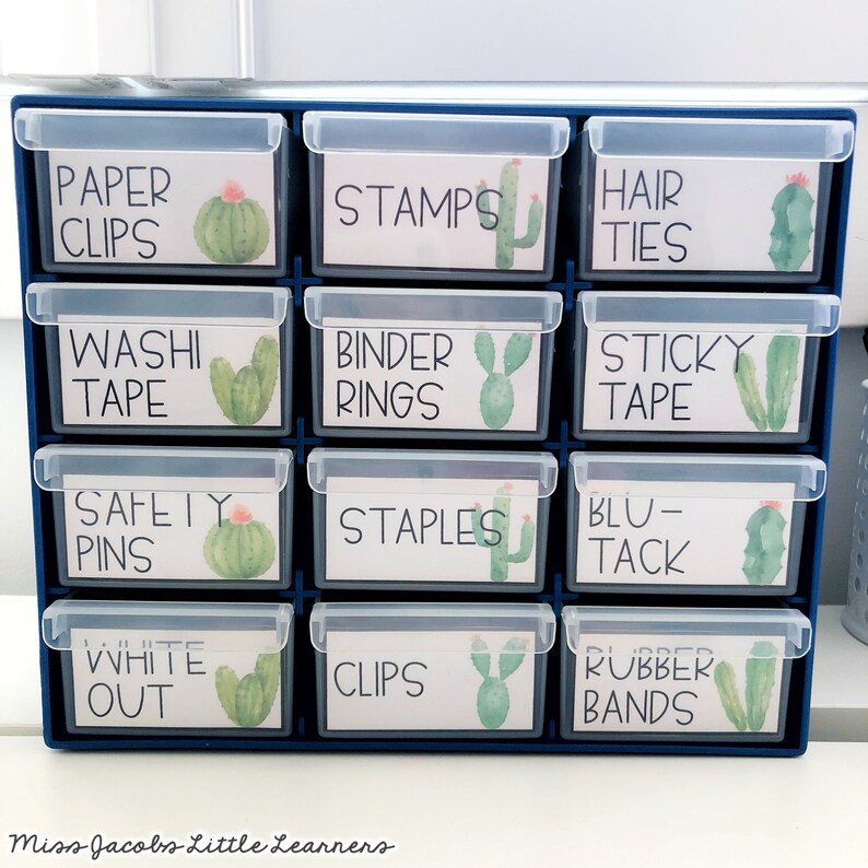 CACTUS Teacher Toolbox Labels Cactus Classroom Decor - Etsy
