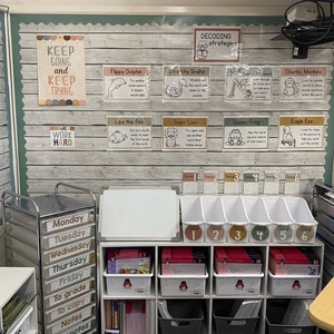 NEUTRAL Decoding Reading Strategy Posters | Boho Color Palette ...