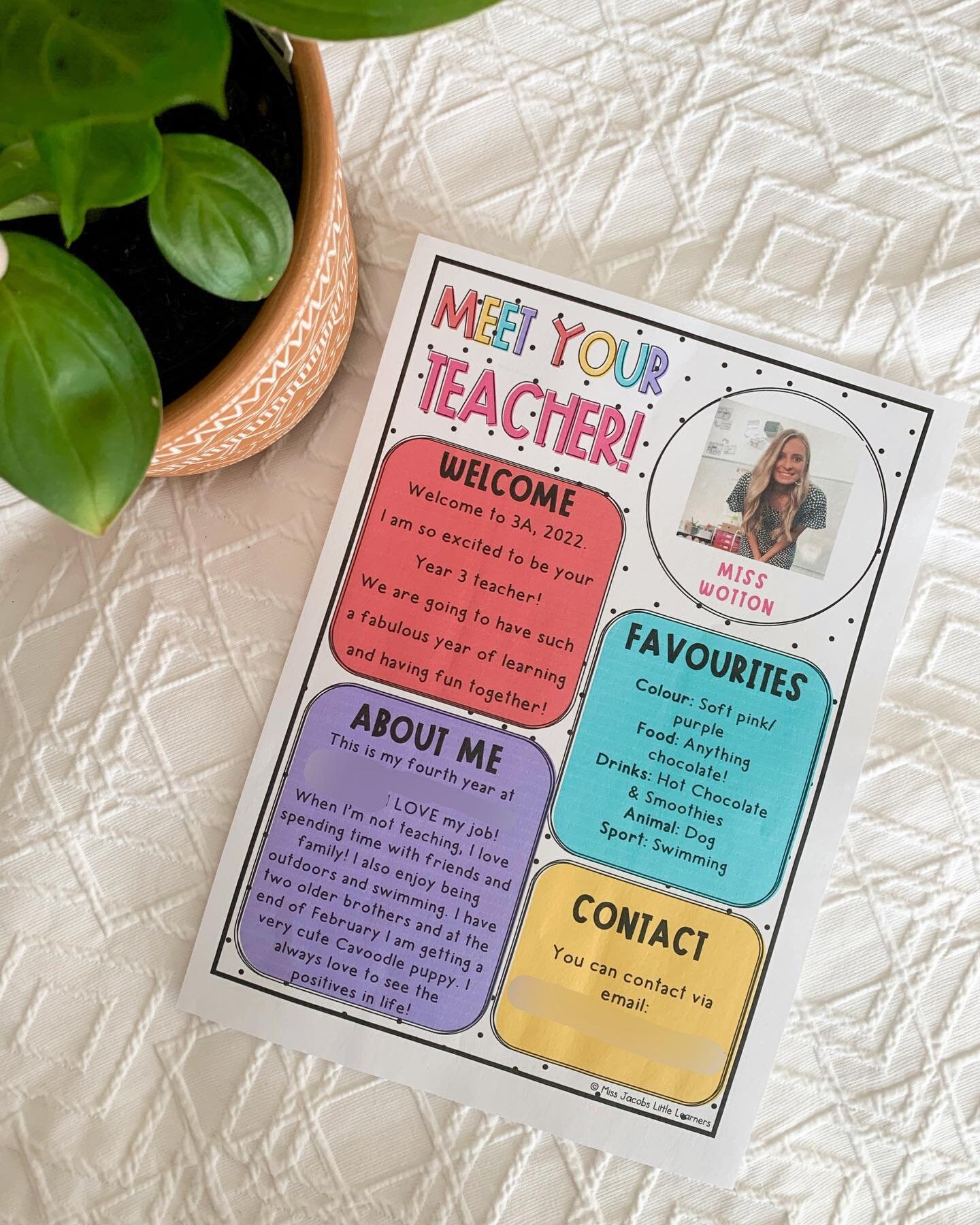 Meet the Teacher SPOTTY BRIGHTS Editable - Etsy
