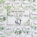 BOTANICAL Greenery Classroom Decor Bundle Editable Modern Farmhouse ...