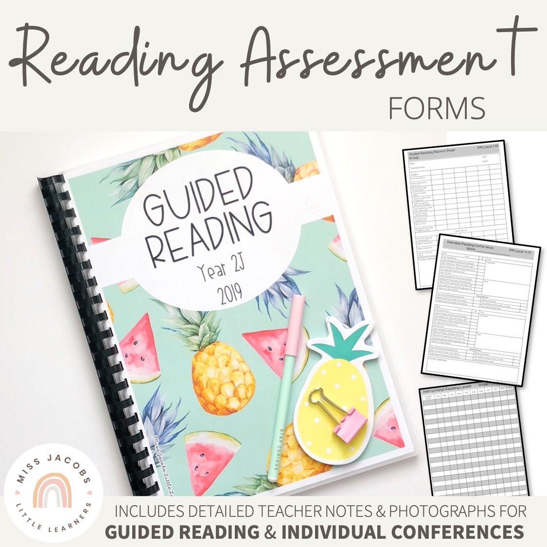 Guided Reading Folder - Reading Assessment Forms and Checklists - Etsy