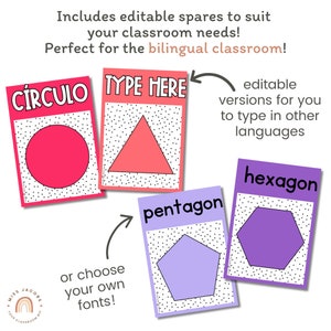 Shape Posters | Spotty Rainbow Brights Classroom Decor | Editable - Etsy