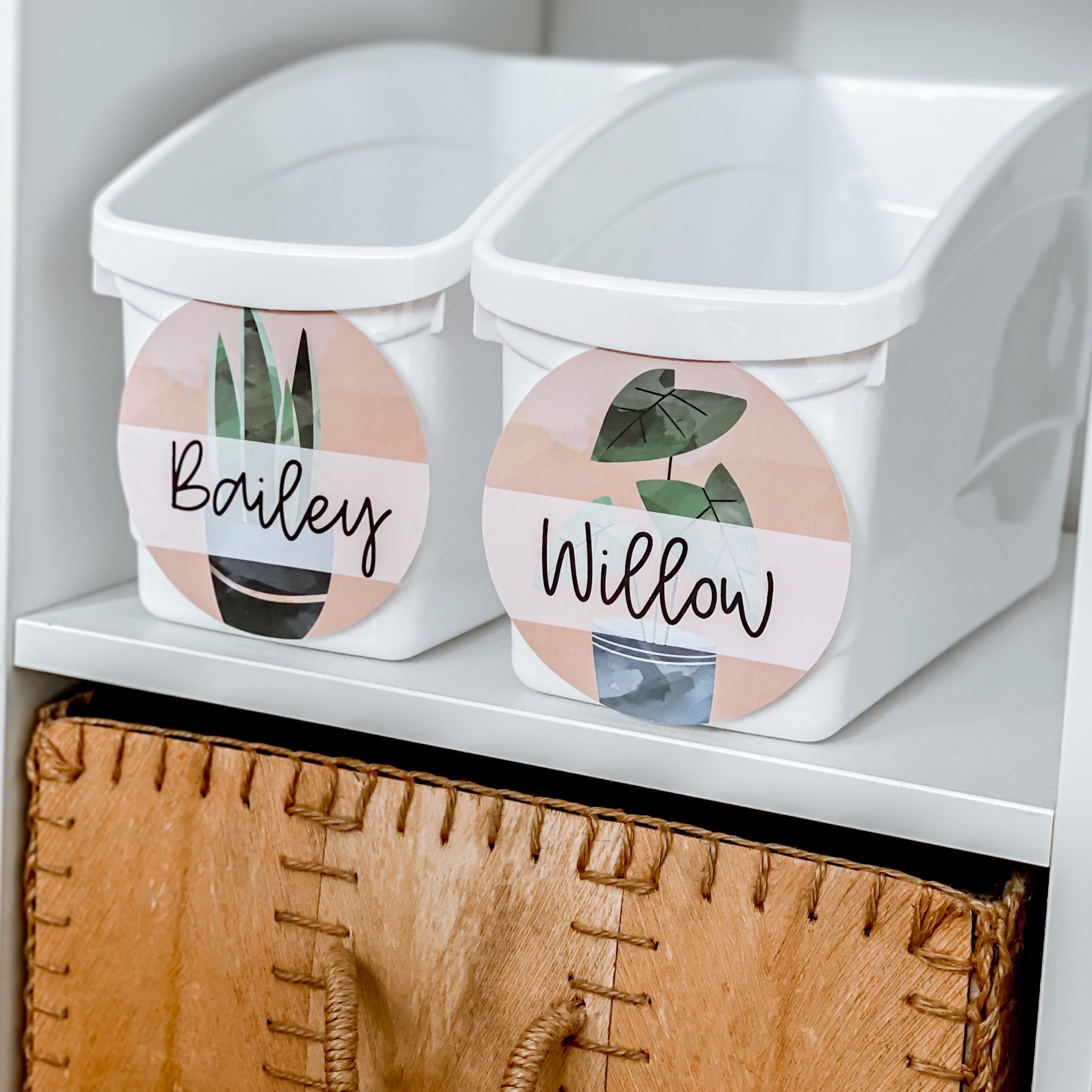 Modern Boho Plants Classroom Supply and Student Name Labels - Etsy