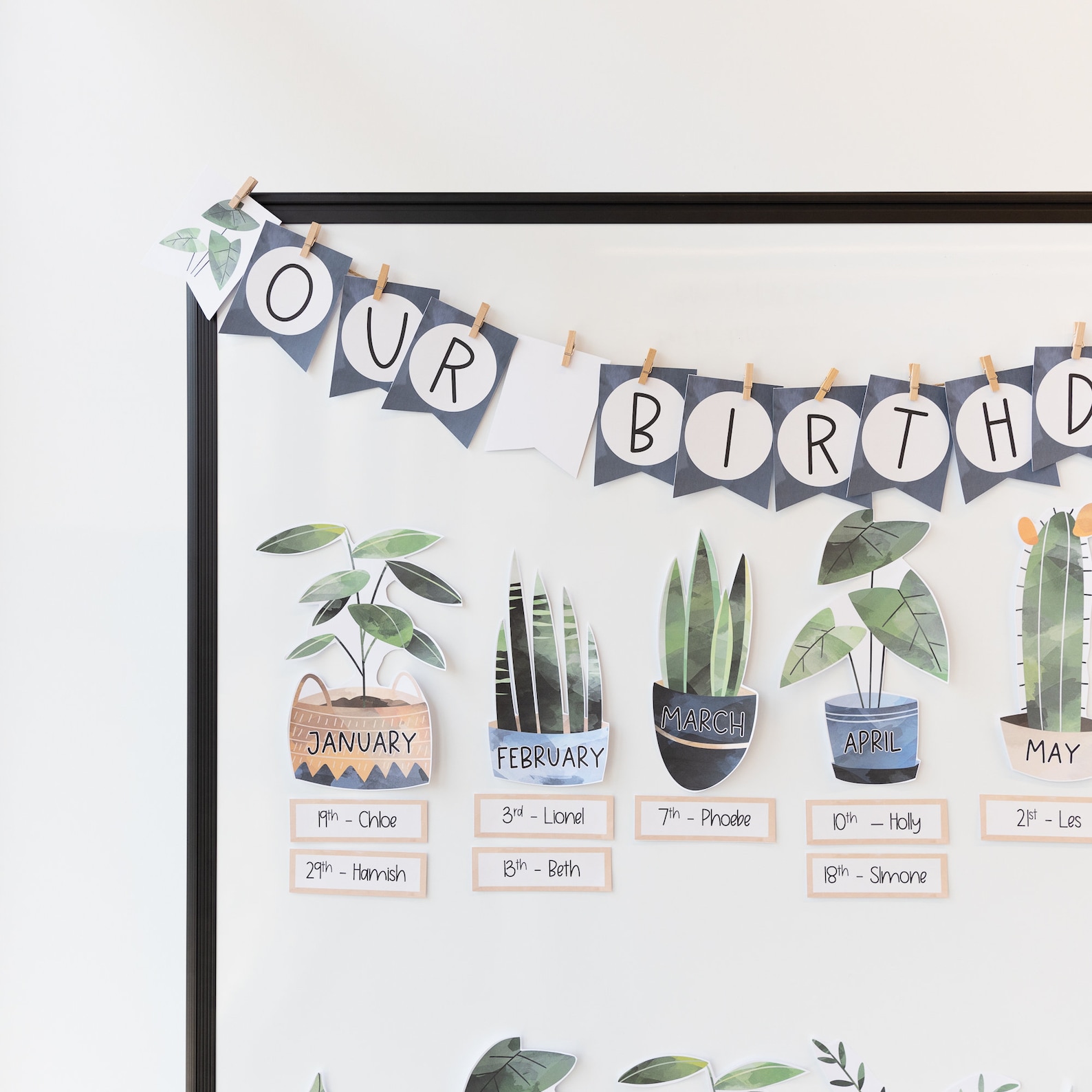 Modern Boho Plants Birthday Display Rustic Boho Classroom - Etsy
