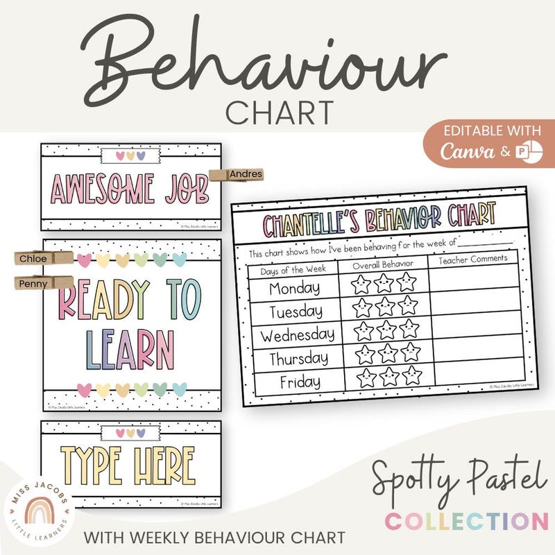 Elementary Behavior Tracker - Etsy