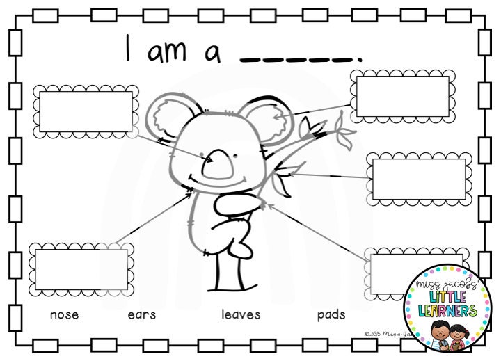 Australian Animals Unit - Australian Curriculum | Distance Learning - Etsy