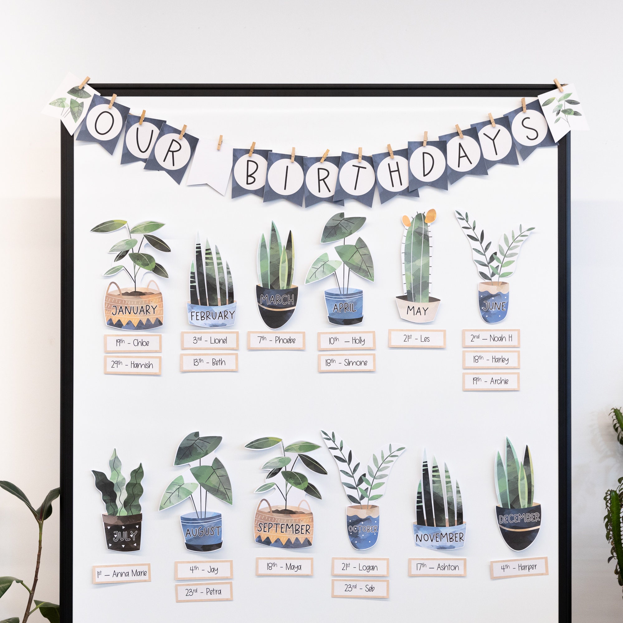 Modern Boho Plants Birthday Display Rustic Boho Classroom - Etsy Australia